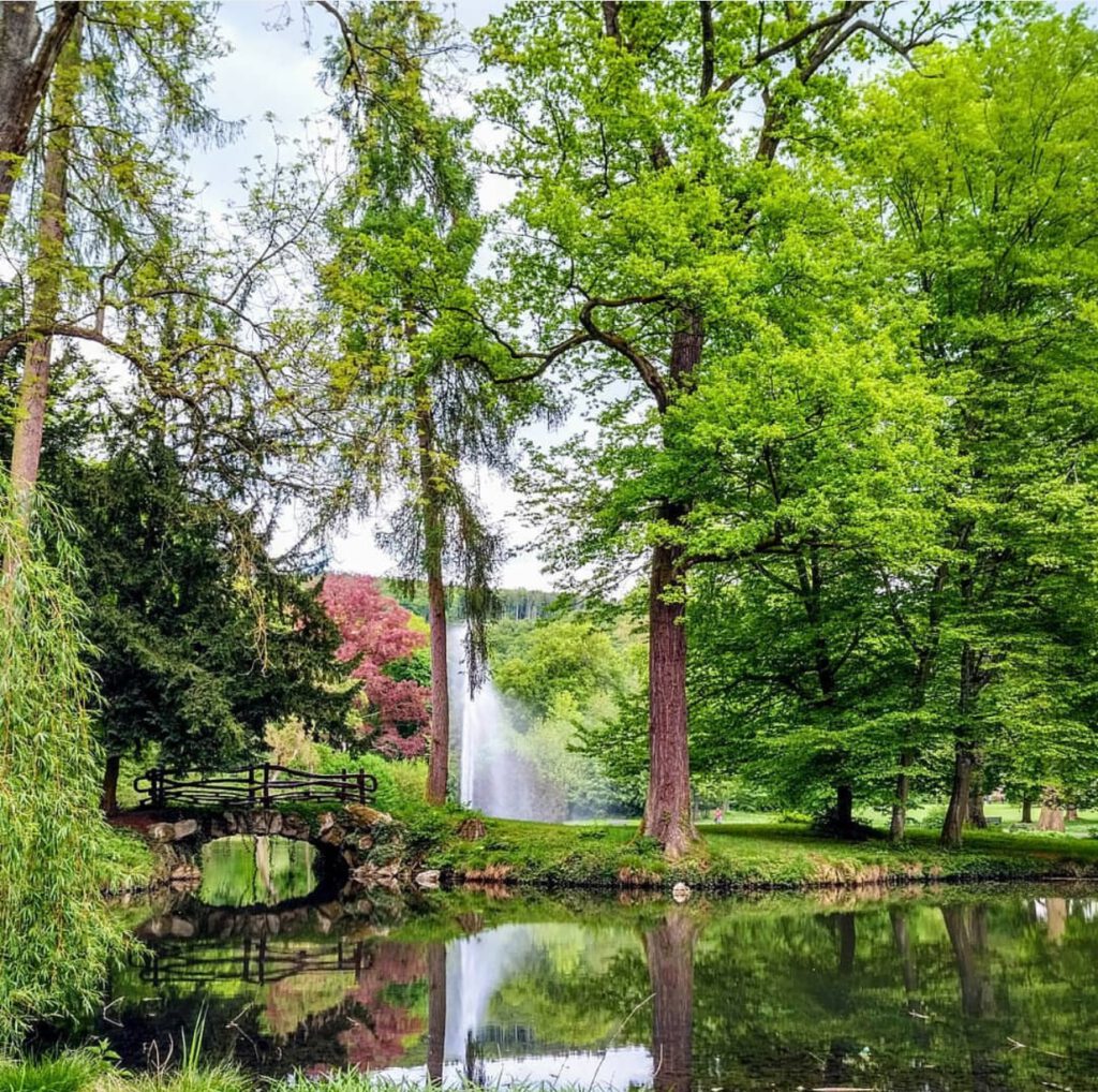 SCHLOSSPARK – FÜRSTENSCHLOSS & SCHMETTERLINGE